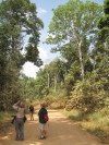 Tim Dolby's Birding Tours | Bird Guiding Across Melbourne, Victoria ...