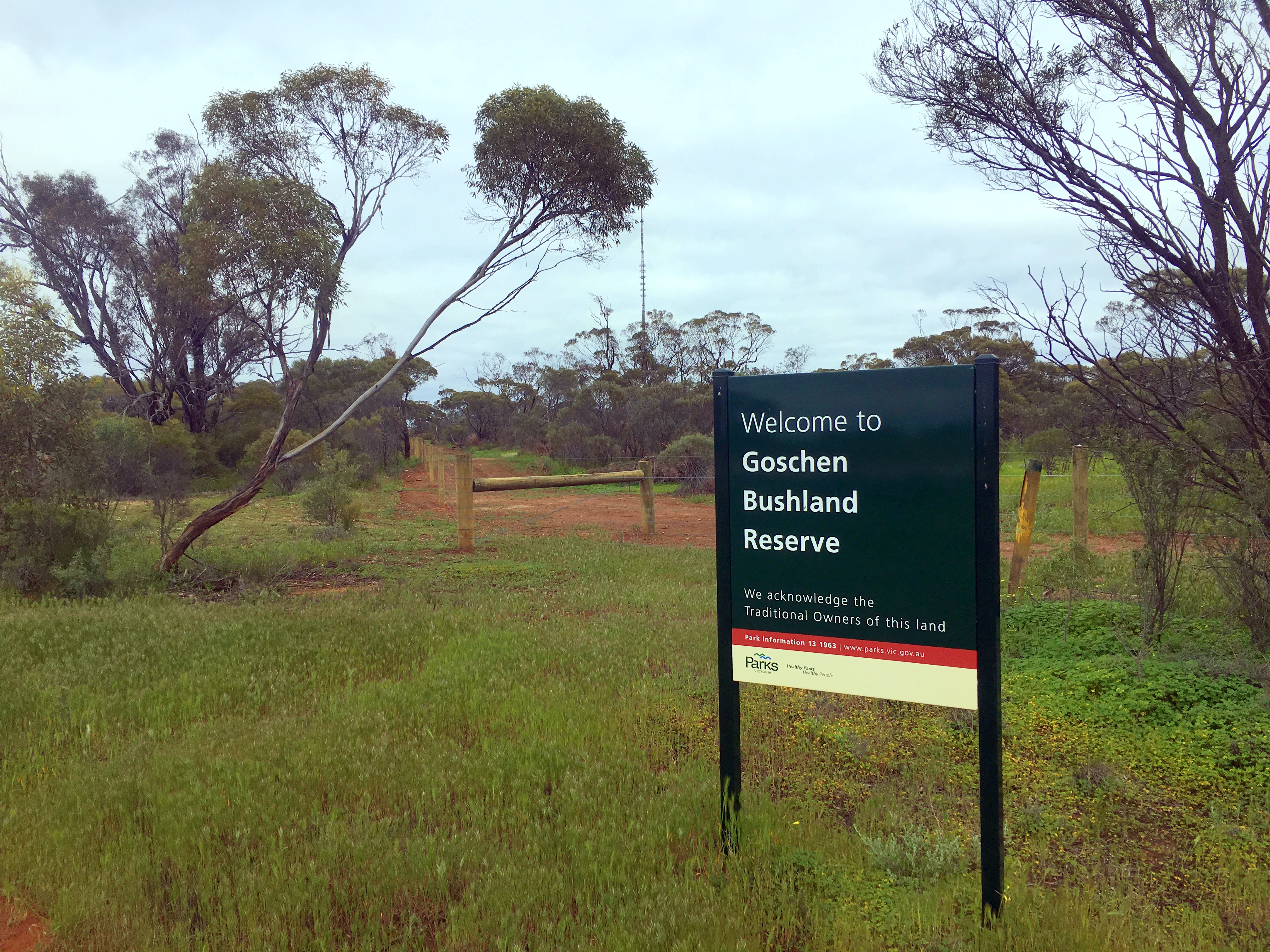 Goschen Bushland Reserve and Surrounds | Tim Dolby's Birding Tours