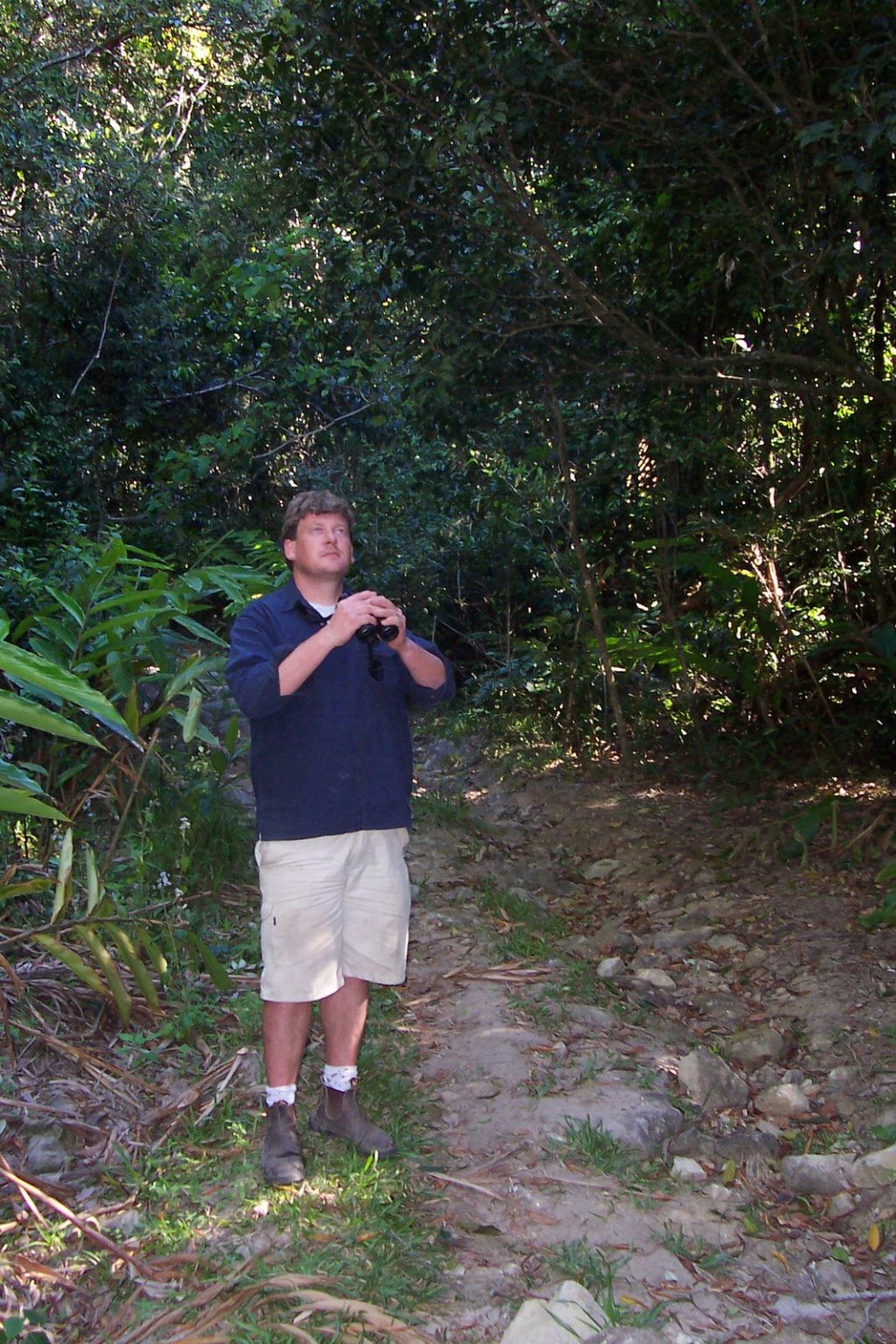 Birding Cairns and Far North Queensland | Tim Dolby's Birding Tours